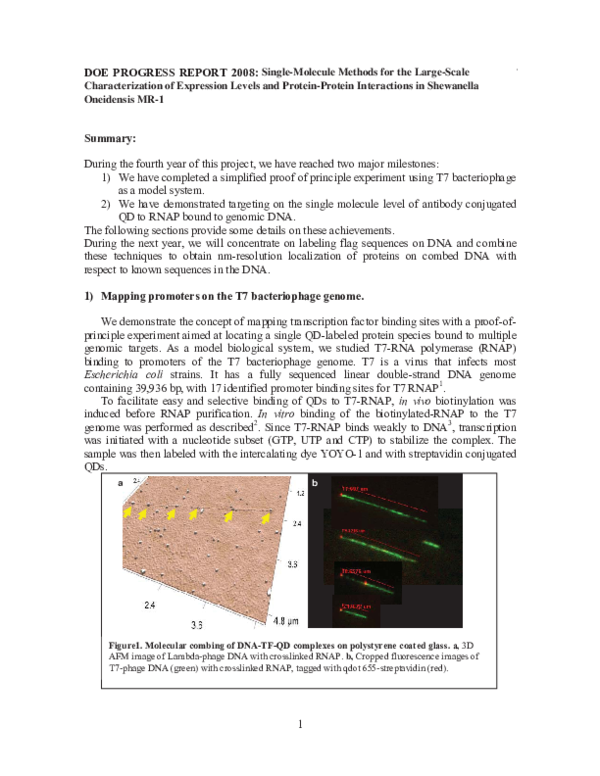 (PDF) Single-Molecule Methods for the Large-Scale Characterization of ...