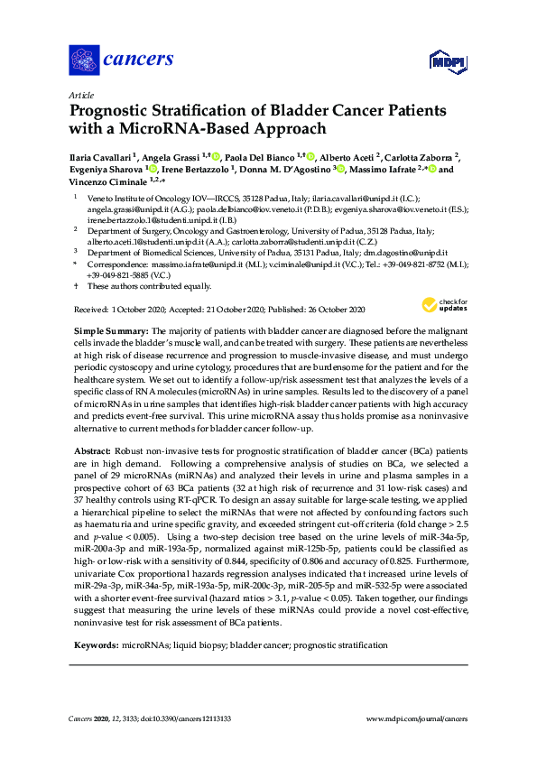 (PDF) Prognostic Stratification of Bladder Cancer Patients with a ...