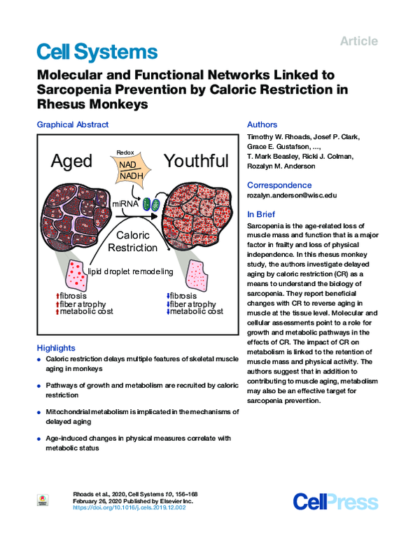 (PDF) Molecular and Functional Networks Linked to Sarcopenia Prevention ...