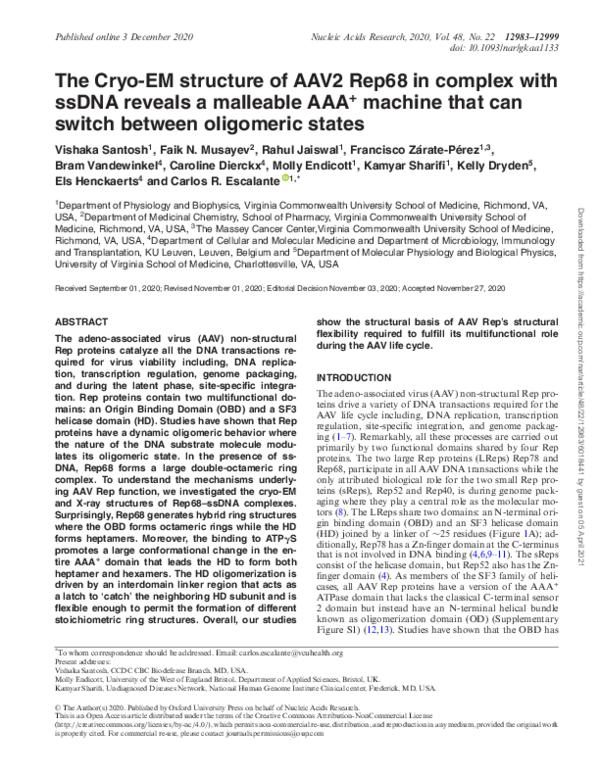 (PDF) The Cryo-EM structure of AAV2 Rep68 in complex with ssDNA reveals ...