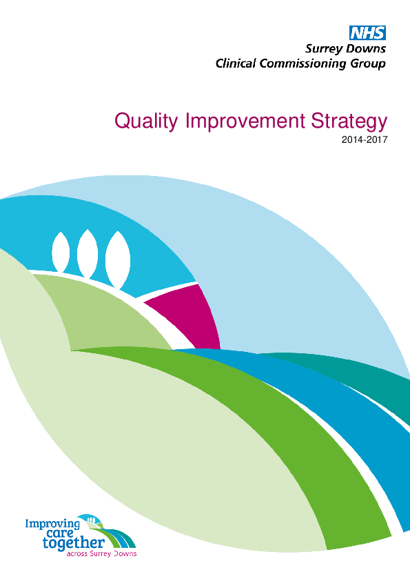(PDF) The Quality Improvement Strategy