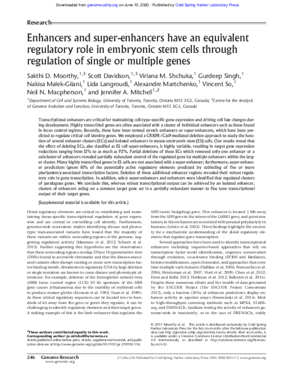 (PDF) Role of Enhancers in Stem Cell Gene Regulation