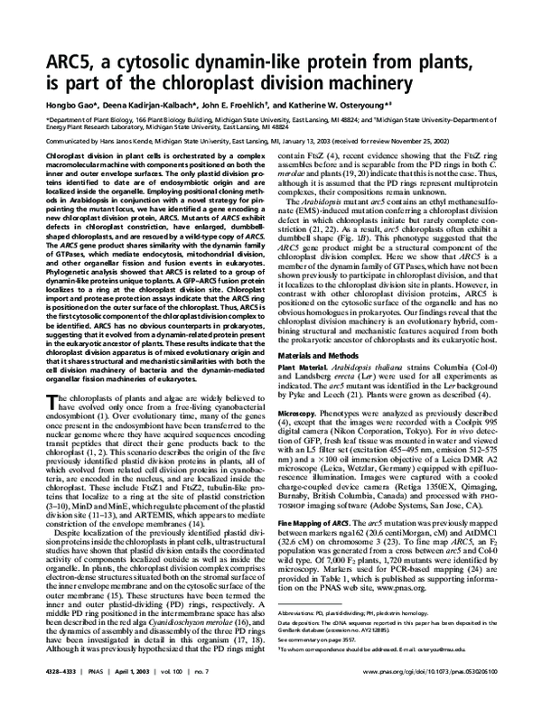 (PDF) ARC5, a cytosolic dynamin-like protein from plants, is part of ...