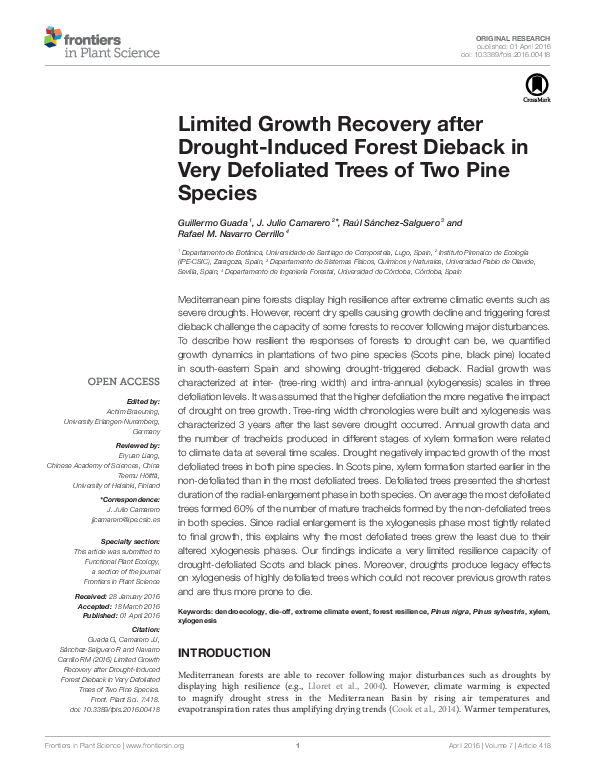 (PDF) Limited Growth Recovery after Drought-Induced Forest Dieback in ...