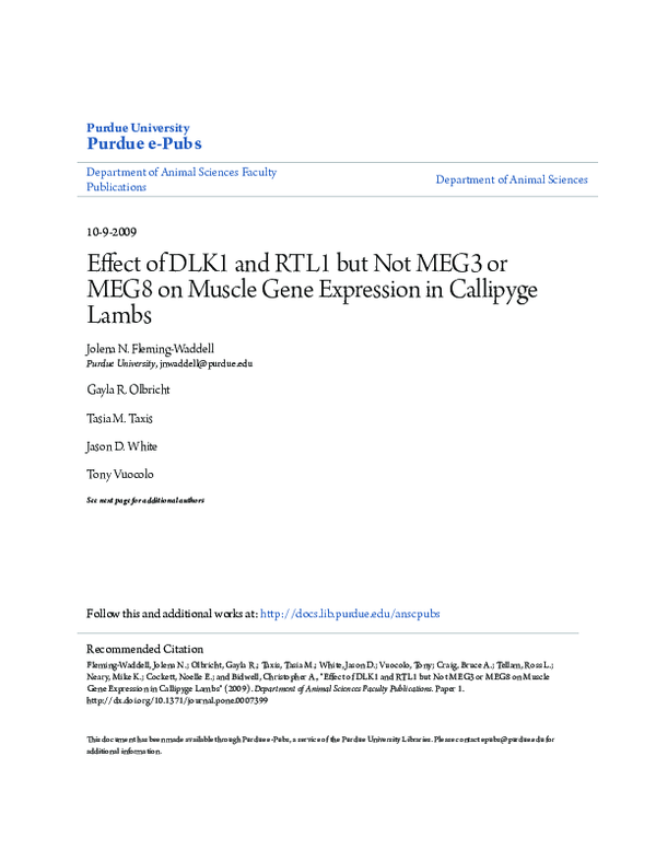 (PDF) Effect of DLK1 and RTL1 but Not MEG3 or MEG8 on Muscle Gene ...