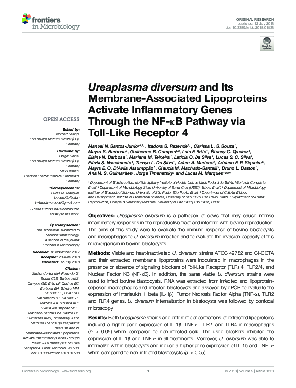 (PDF) Ureaplasma diversum and Its Membrane-Associated Lipoproteins ...