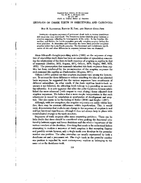 (PDF) Eruption of Cheek Teeth in Insectivora and Carnivora