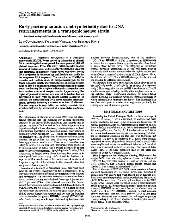 (PDF) Early postimplantation embryo lethality due to DNA rearrangements ...