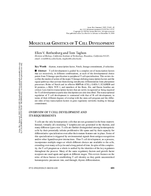 (PDF) Molecular Genetics of T Cell Development