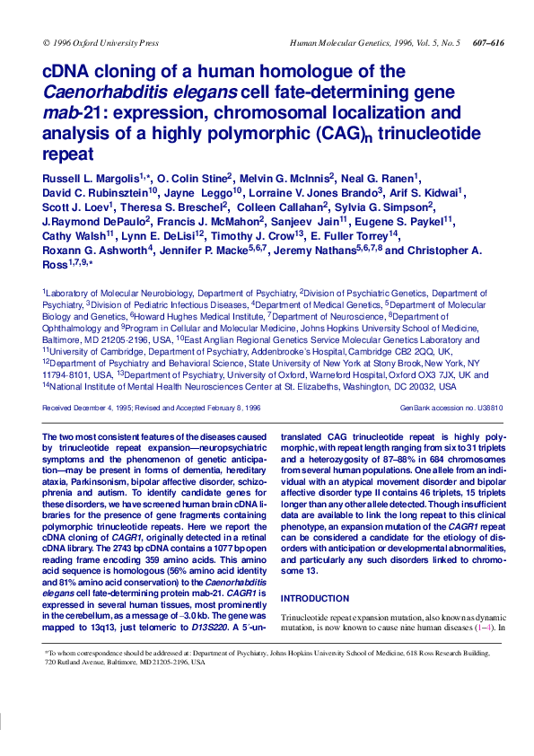 Pdf Cdna Cloning Of A Human Homologue Of The Caenorhabditis Elegans Cell Fate Determining Gene