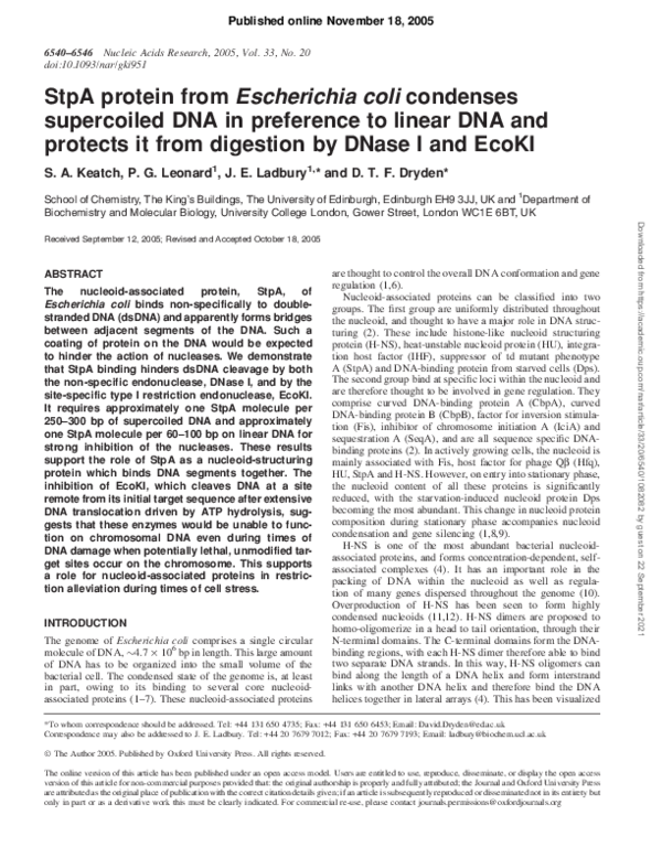 (PDF) StpA protein from Escherichia coli condenses supercoiled DNA in ...