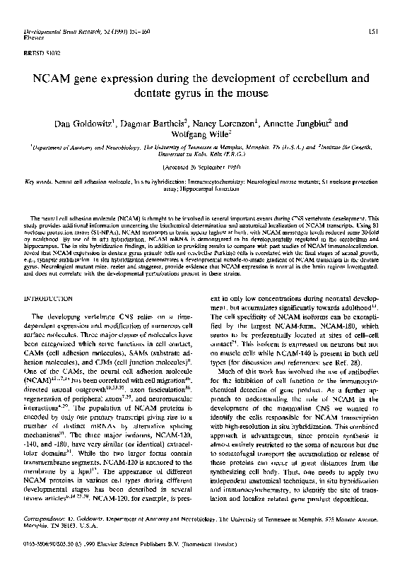 (PDF) NCAM gene expression during the development of cerebellum and ...