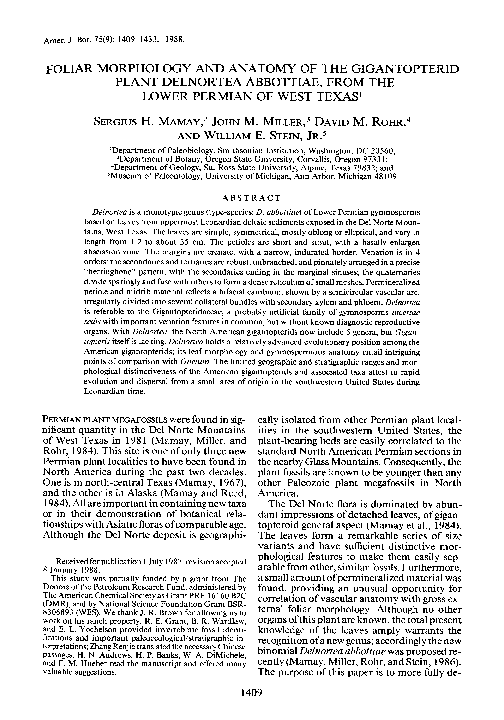 (PDF) Foliar Morphology and Anatomy of the Gigantopterid Plant ...