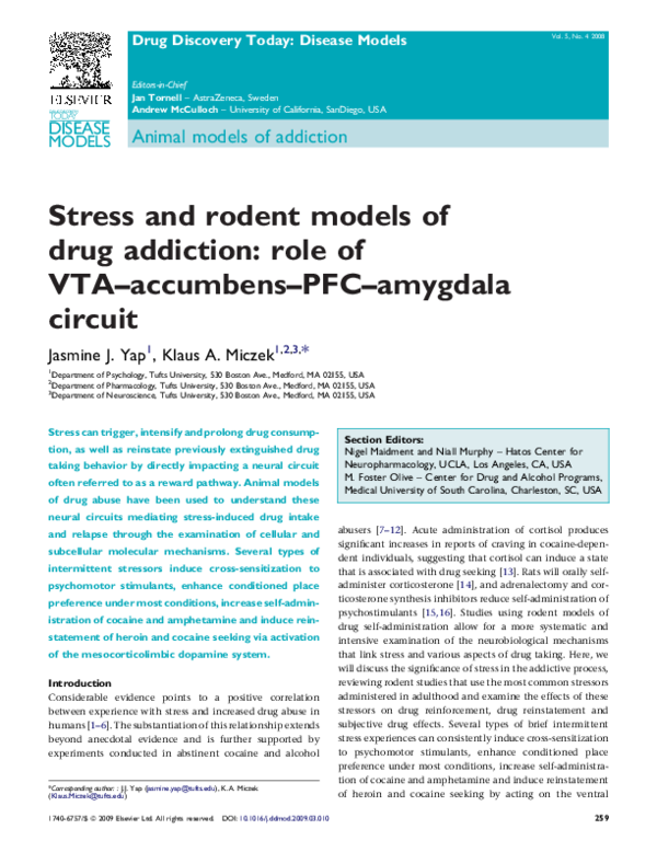 (PDF) Stress and rodent models of drug addiction: role of VTA-accumbens ...