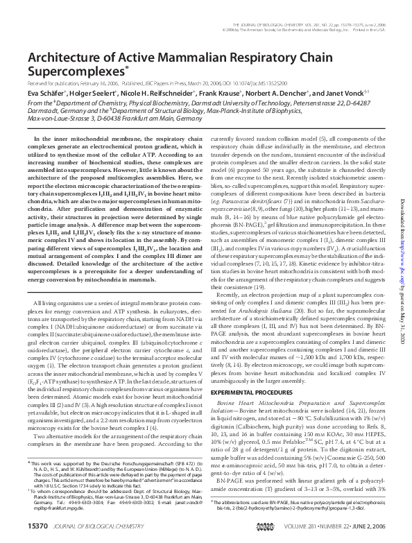 (PDF) Architecture of Active Mammalian Respiratory Chain Supercomplexes | Norbert A Dencher ...