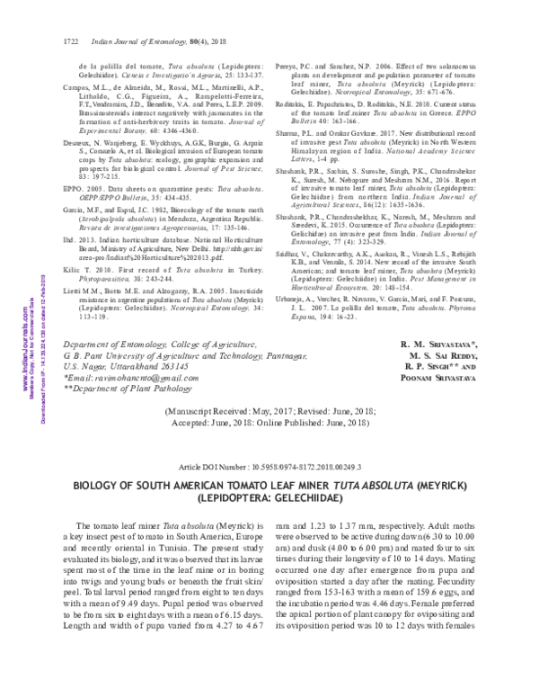 (PDF) BIOLOGY OF SOUTH AMERICAN TOMATO LEAF MINER TUTA ABSOLUTA (MEYRICK) (LEPIDOPTERA: GELECHIIDAE
