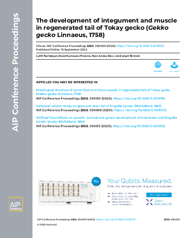 (PDF) The development of integument and muscle in regenerated tail of ...