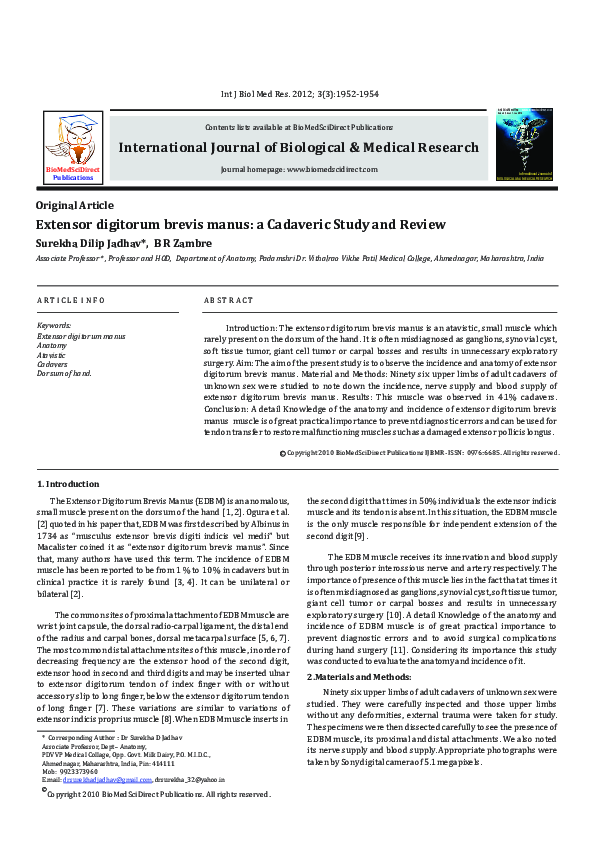 (PDF) Extensor digitorum brevis manus: a Cadaveric Study and Review ...