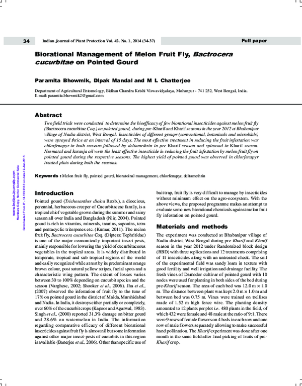 (PDF) Biorational Management of Melon Fruit Fly, Bactrocera cucurbitae on Pointed Gourd