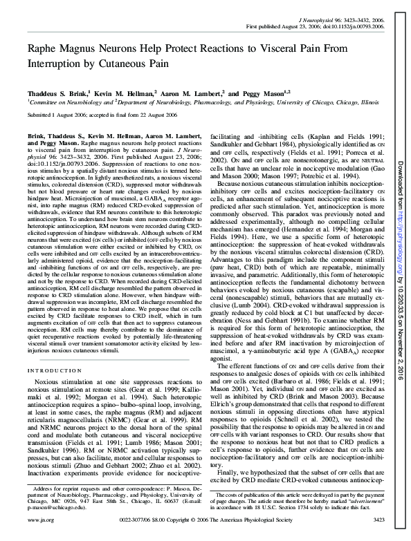 (PDF) Raphe magnus neurons help protect reactions to visceral pain from ...