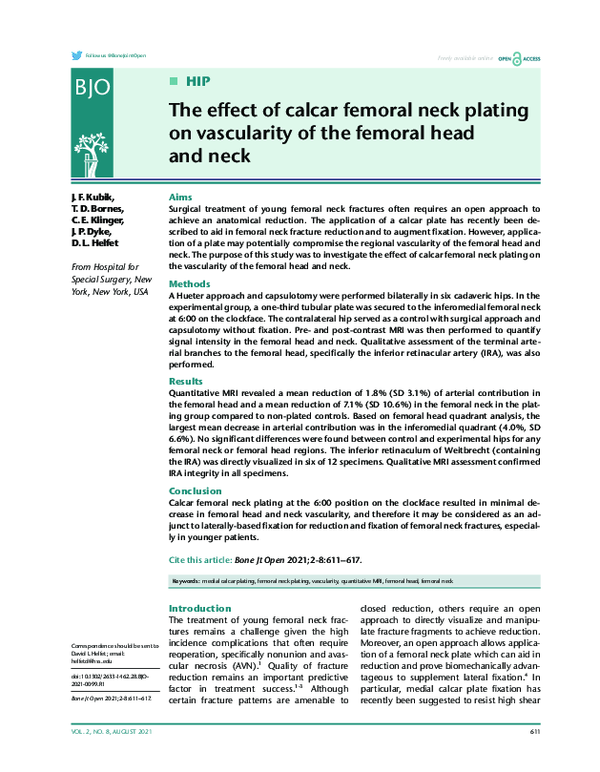 The effect of calcar femoral neck plating on vascularity of the femoral ...