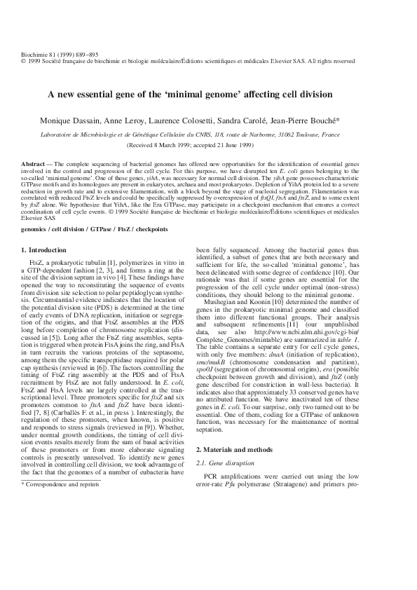(PDF) A new essential gene of the `minimal genome' affecting cell division