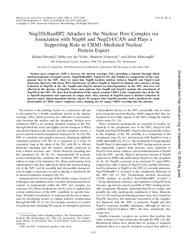 (PDF) Nup358/RanBP2 Attaches to the Nuclear Pore Complex via ...
