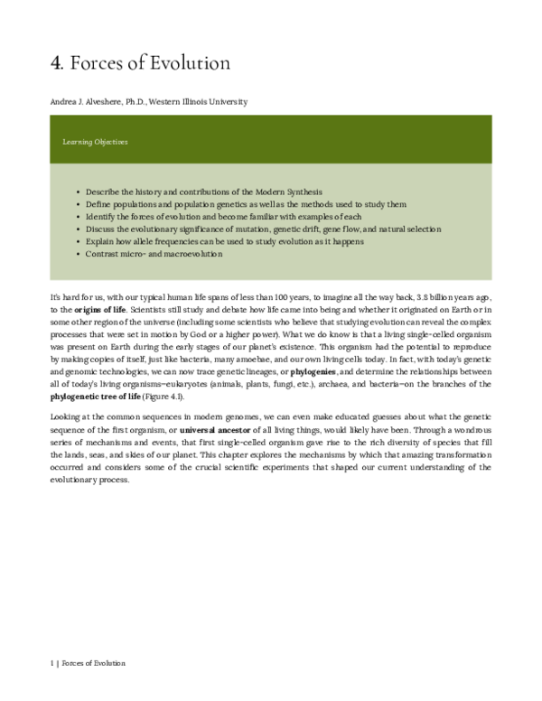 (PDF) Chapter 4. Forces of Evolution