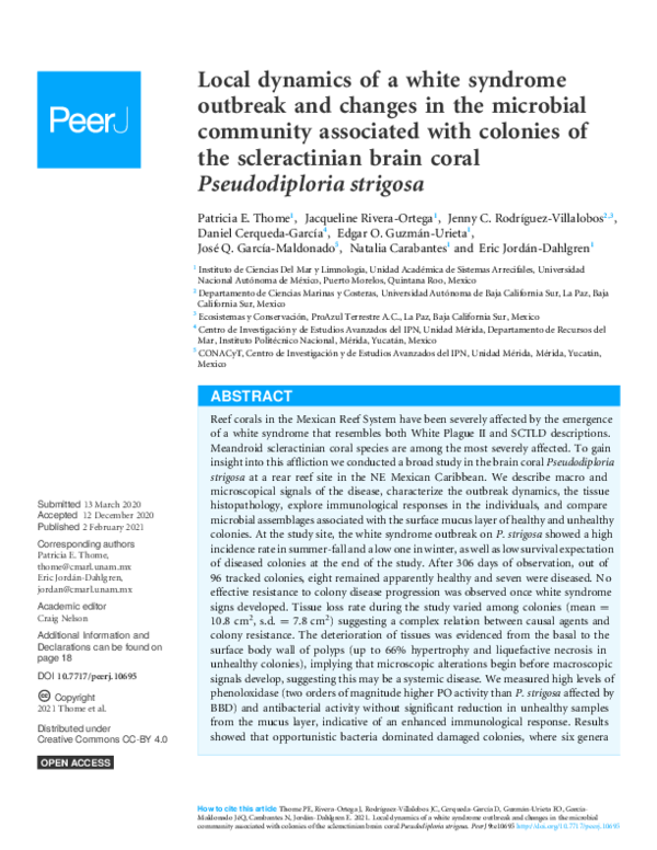 (PDF) Local dynamics of a white syndrome outbreak and changes in the microbial community ...