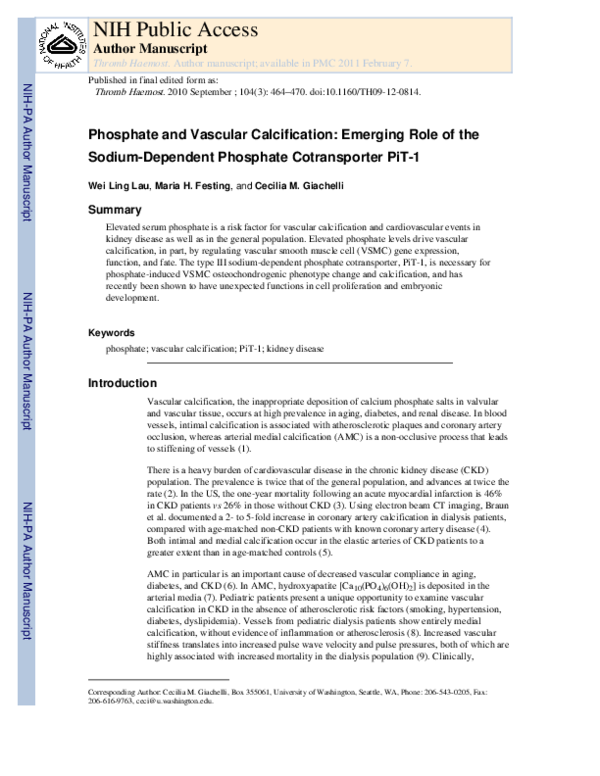(PDF) Phosphate and vascular calcification: Emerging role of the sodium-dependent phosphate co ...