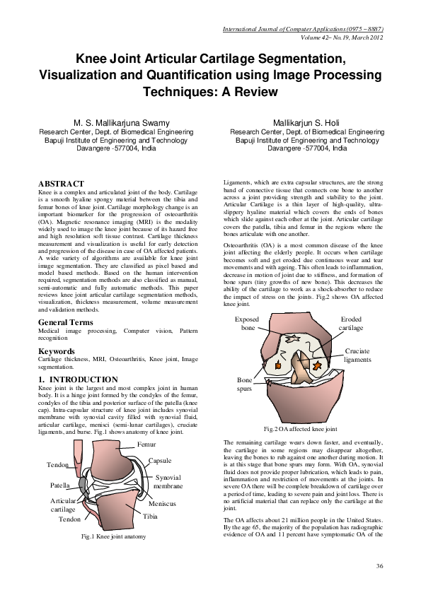 (PDF) Knee Joint Articular Cartilage Segmentation, Visualization and Quantification using Image ...