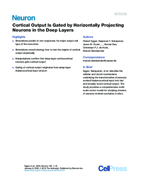 (PDF) Cortical Output Is Gated by Horizontally Projecting Neurons in ...