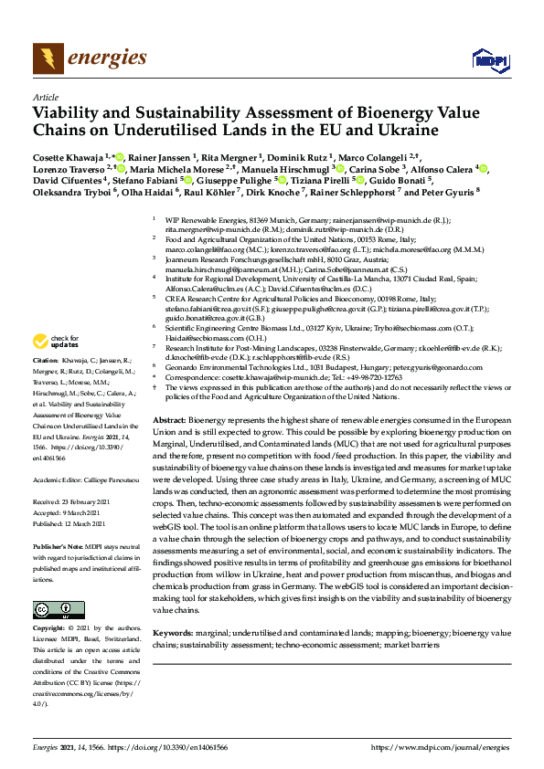 (PDF) Viability and Sustainability Assessment of Bioenergy Value Chains ...