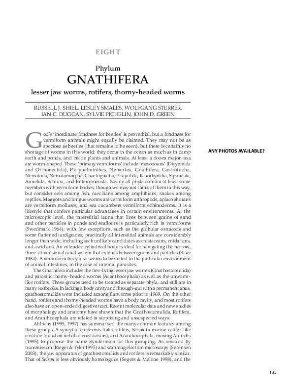 (PDF) Phylum Gnathifera lesser jaw worms, rotifers, thorny-headed worms ...