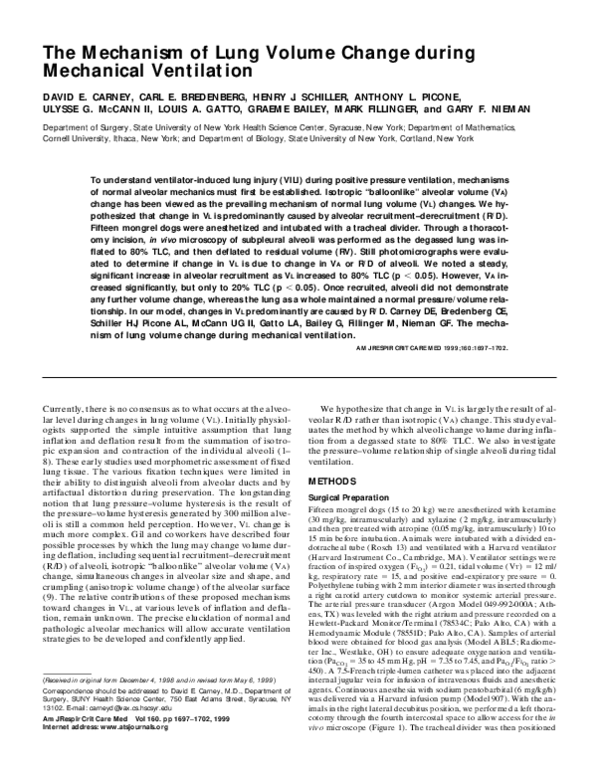 (PDF) The Mechanism of Lung Volume Change during Mechanical Ventilation