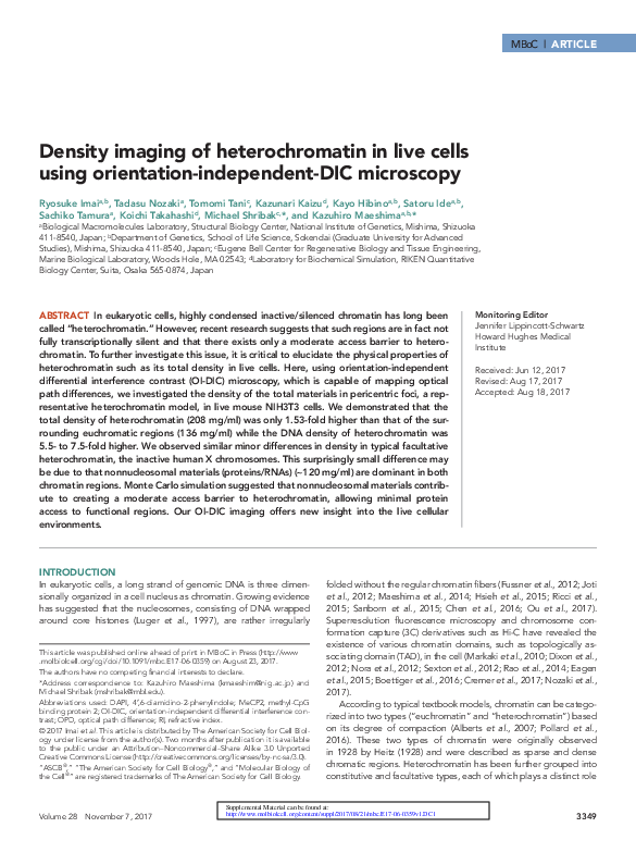 Density imaging of heterochromatin in live cells using orientation ...