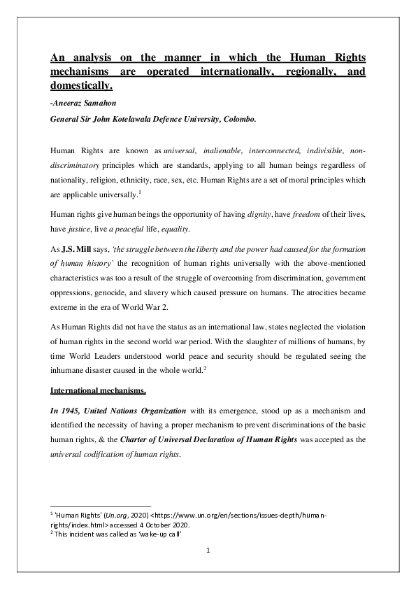 (PDF) Human rights mechanisms