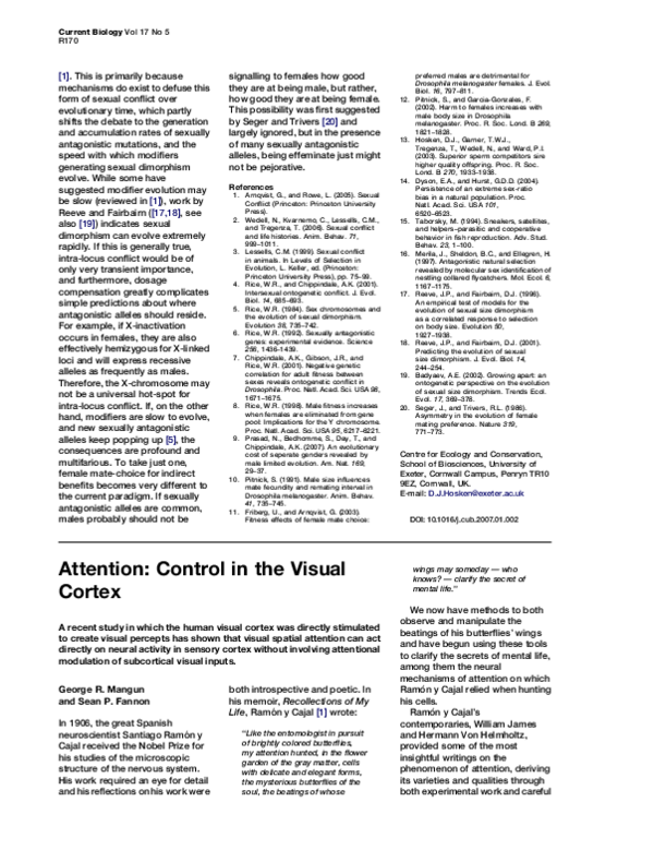 (PDF) Attention: Control in the Visual Cortex