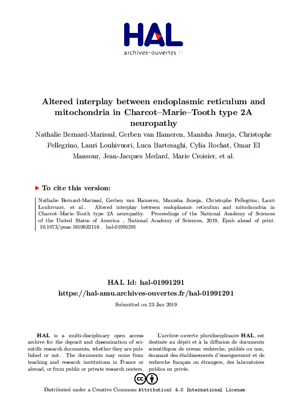 (PDF) Altered interplay between endoplasmic reticulum and mitochondria ...
