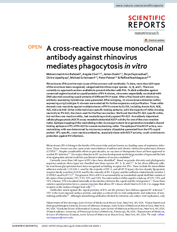(PDF) A cross-reactive mouse monoclonal antibody against rhinovirus ...
