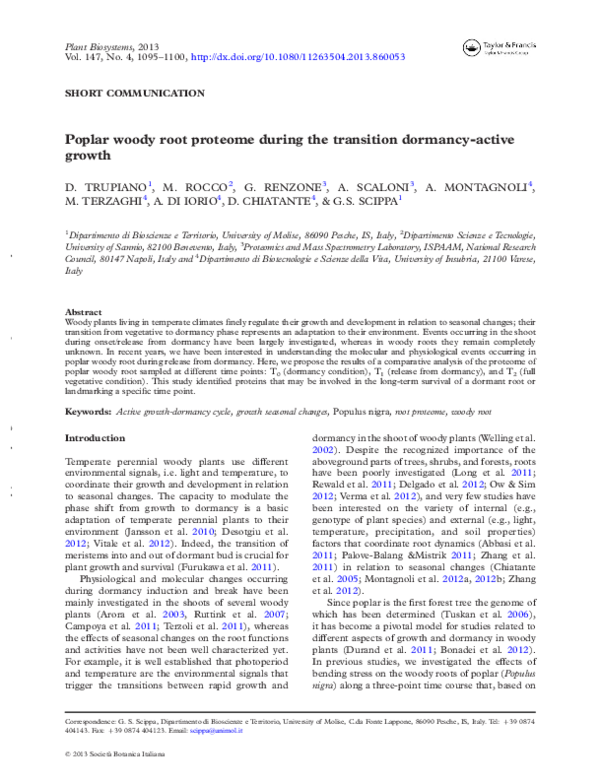 (PDF) Poplar woody root proteome during the transition dormancy-active ...