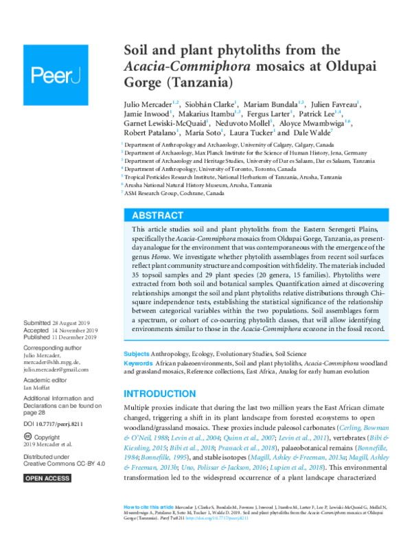 (PDF) Soil and plant phytoliths from the Acacia-Commiphora mosaics at ...