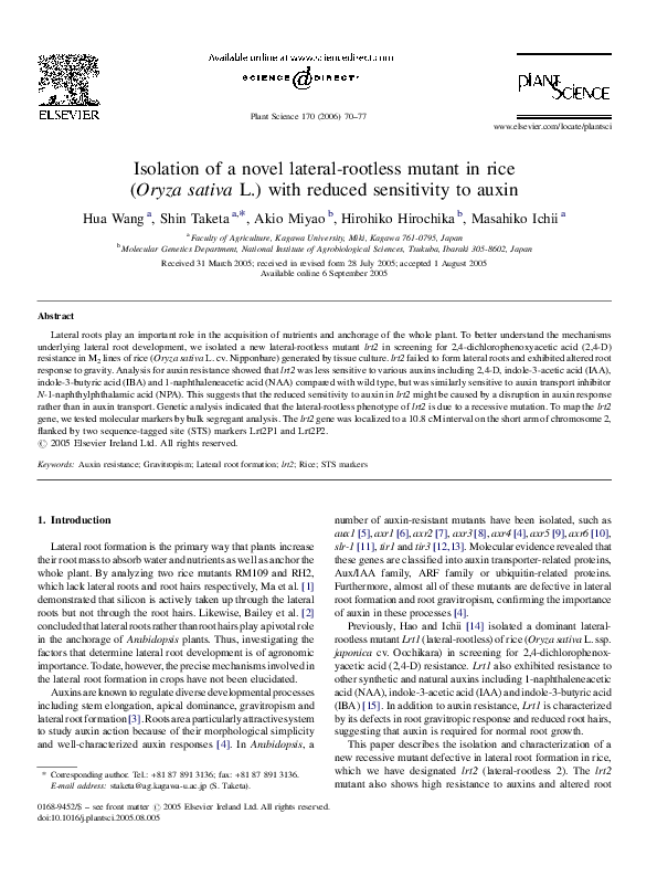 (PDF) Isolation of a novel lateral-rootless mutant in rice (Oryza ...