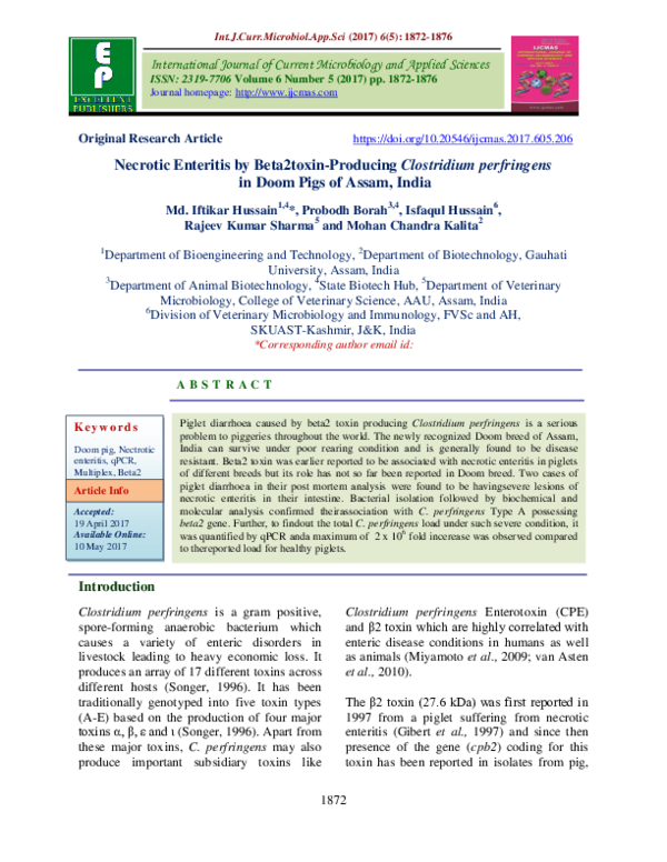 (PDF) Necrotic Enteritis by Beta2toxin-Producing Clostridium ...