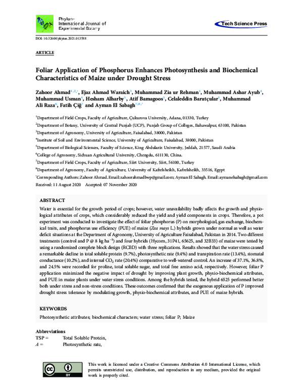 (PDF) Foliar Application of Phosphorus Enhances Photosynthesis and ...