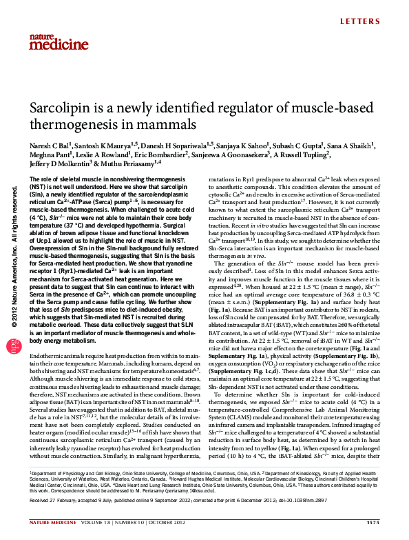 (PDF) Sarcolipin is a newly identified regulator of muscle-based ...