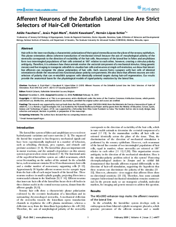 (PDF) Afferent Neurons of the Zebrafish Lateral Line Are Strict ...