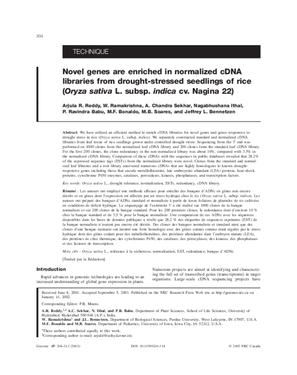 (PDF) Novel Genes Are Enriched In Normalized CDNA Libraries From ...