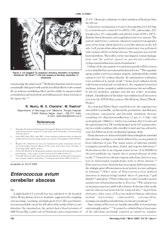 (PDF) Enterococcus avium cerebellar abscess
