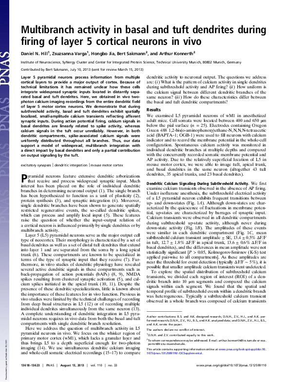 (PDF) Multibranch activity in basal and tuft dendrites during firing of ...